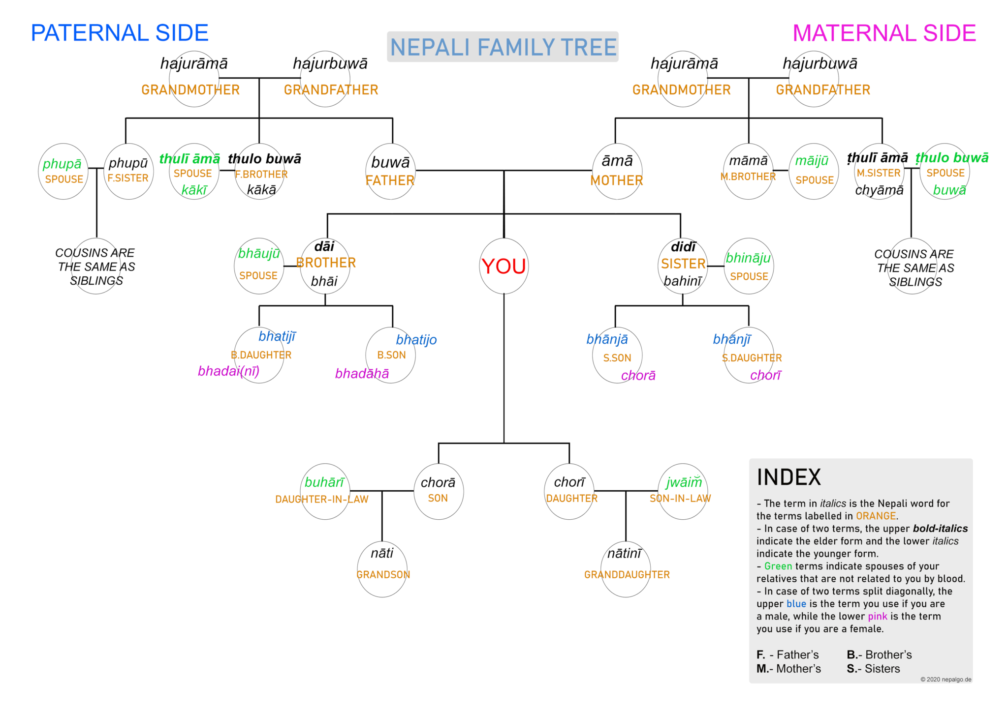 Vocabulary: Family And Kinship - Nepalgo